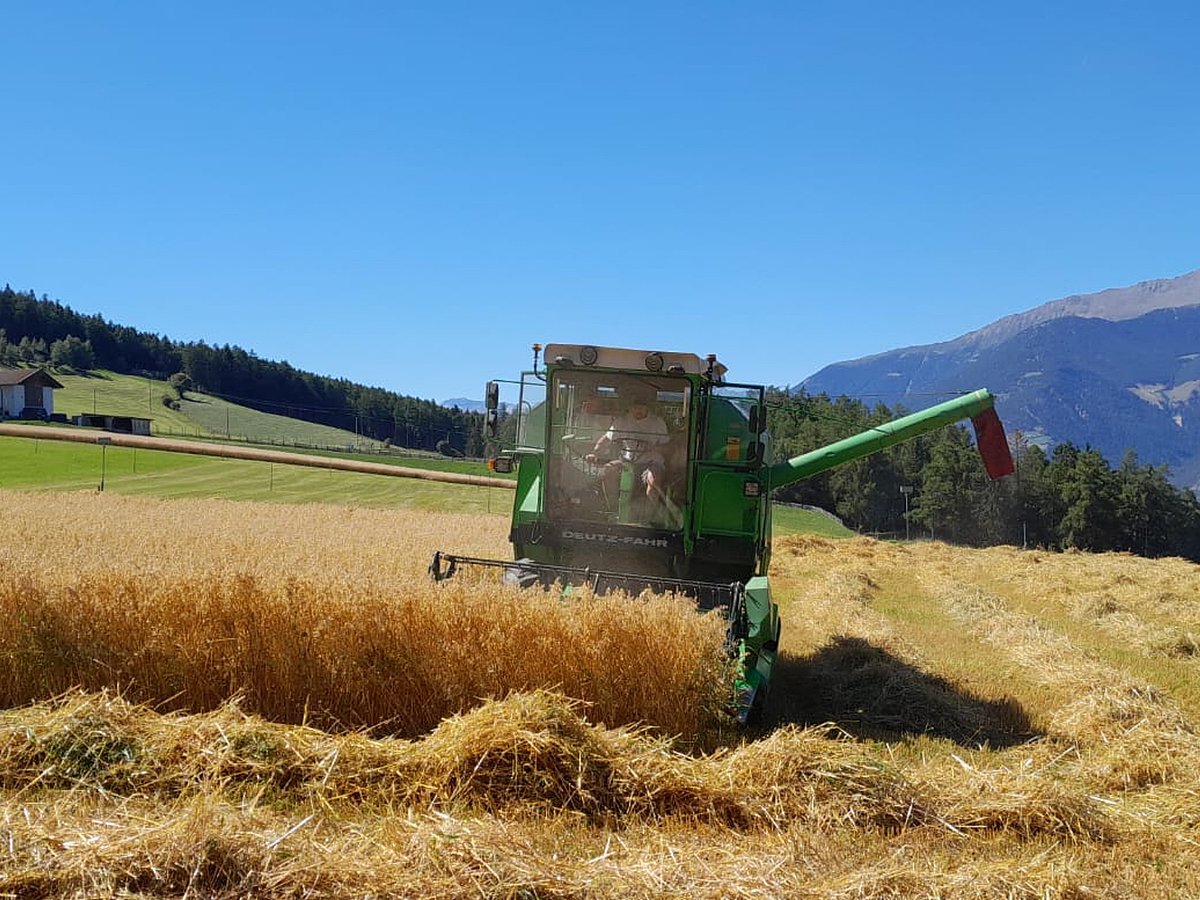 IDM wirbt für Südtirols ersten Bio-Haferdrink | IDM Südtirol